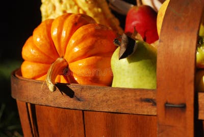 Autumn Harvest stock photo. Image of corn, outside, green - 5377584
