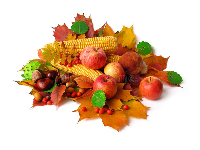 Autumn harvest stock photo. Image of green, traditional - 6691134