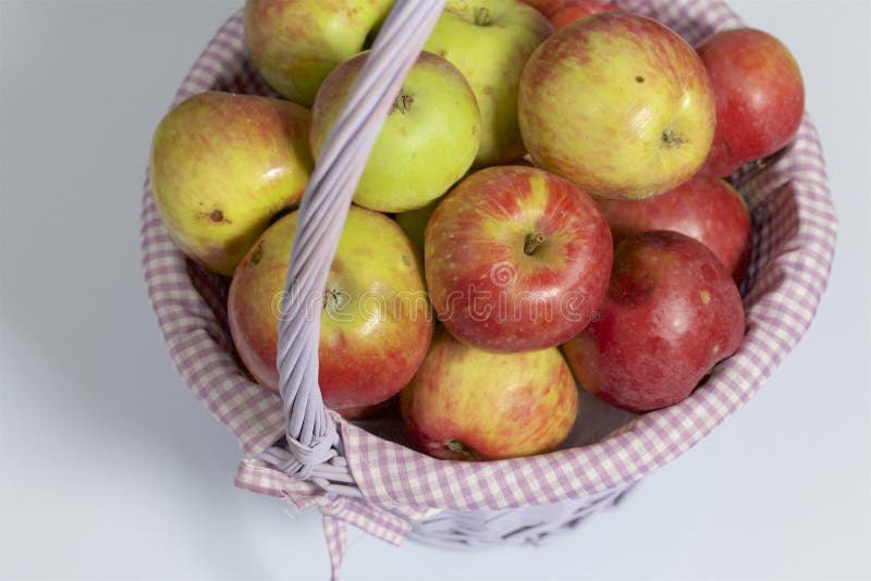 Autumn Harvest of Apples. Apples in a Wicker from a Vine Basket. on a ...