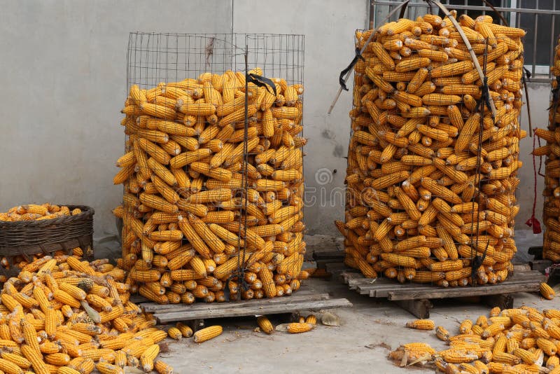 Autumn harvest stock image. Image of countryside, corner - 78944105