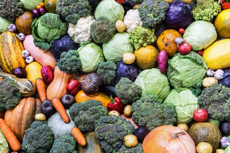 Autumn Harvest of Different Vegetables and Root Crops Stock Image ...