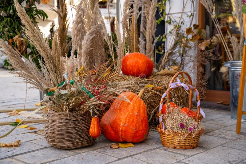 Autumn Harvest Display with Pumpkins and Rustic Baskets on a Stone ...