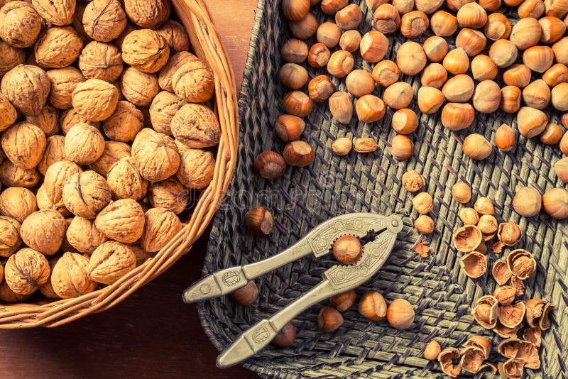 Autumn harvest of nuts stock photo. Image of healthy - 28157436