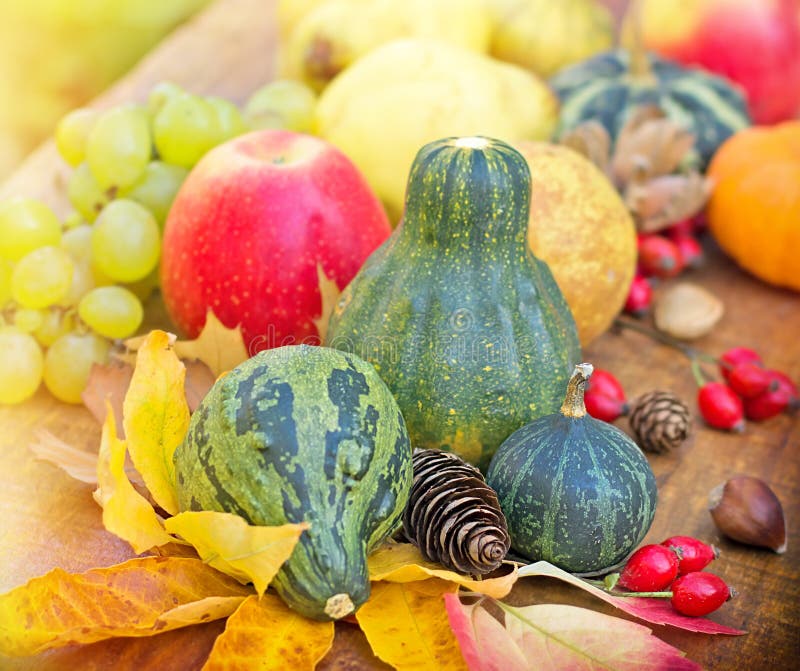 Autumn Harvest - Organic Food Stock Photo - Image of apple, selective ...