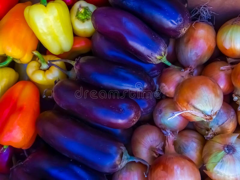 Autumn harvest vegetables. stock image. Image of food - 196100321
