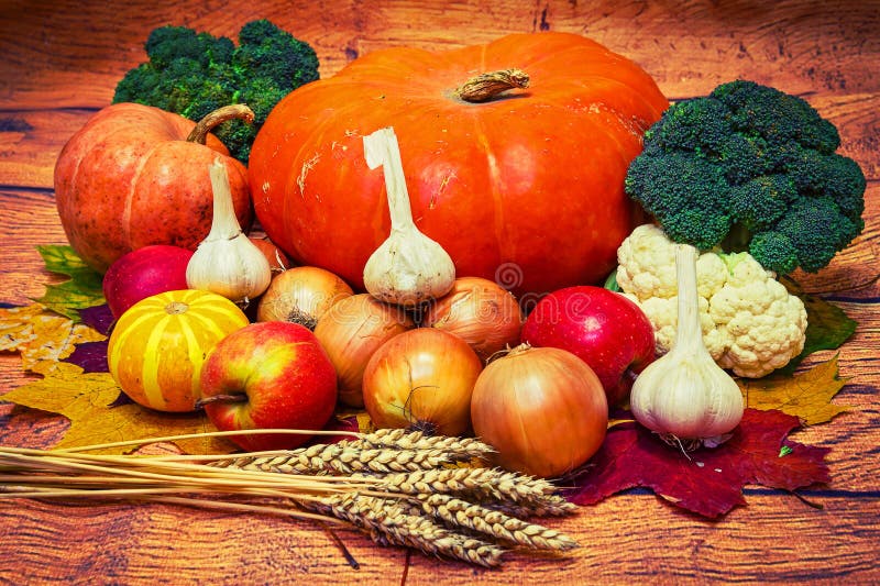 Autumn harvest. Vegetables stock image. Image of eating - 101152019