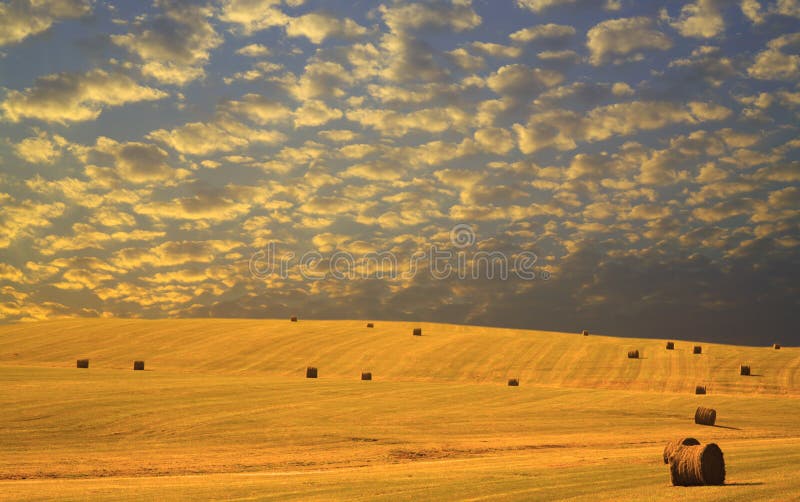 Autumn Farm Scene stock image. Image of agriculture, fence - 3276897