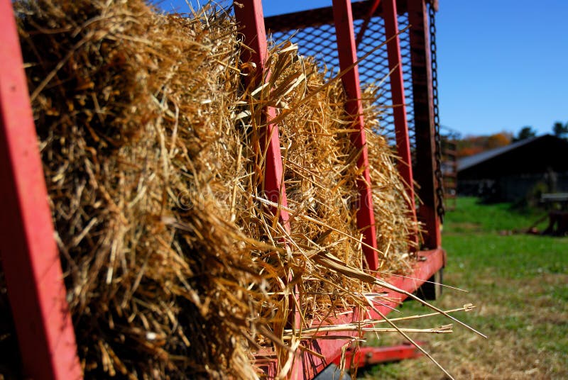 Autumn hay ride stock photo. Image of afternoon, autumn - 1381264