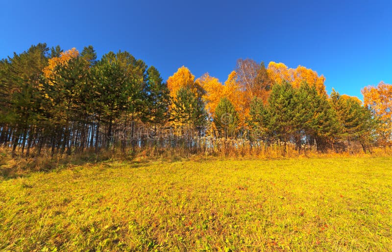 HDRI panorama of a park stock image. Image of panorama - 6853129