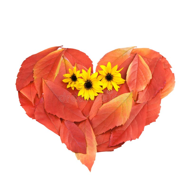 Autumn heart stock image. Image of form, colorful, heart - 34719879