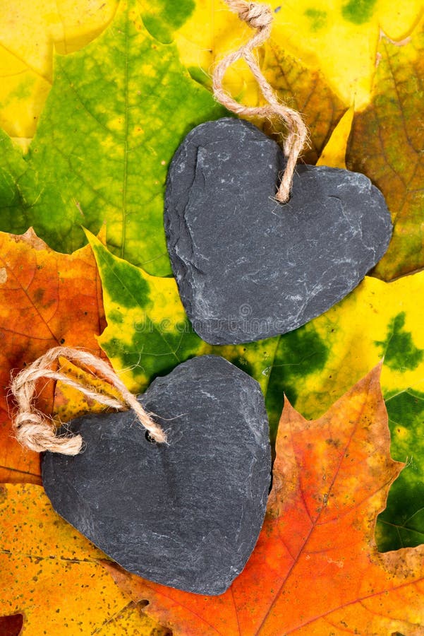 Autumn hearts stock photo. Image of life, still, slate - 35094402