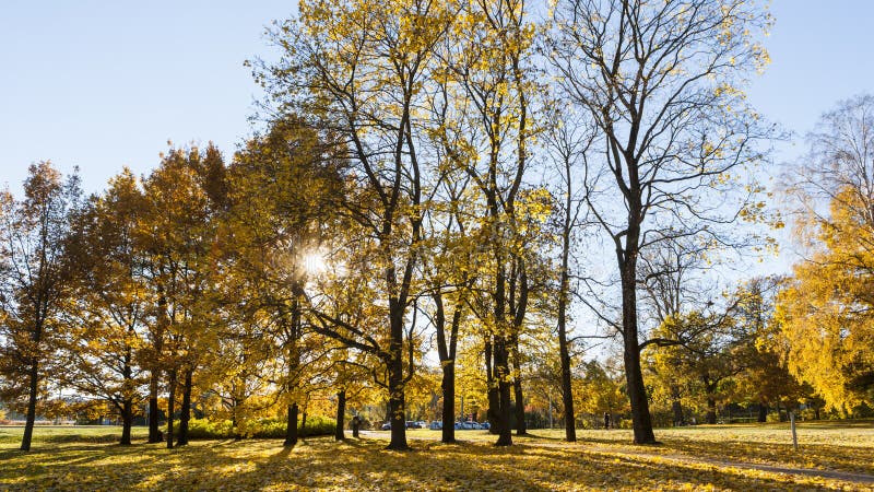 Autumn in Helsinki stock image. Image of park, nature - 67117827