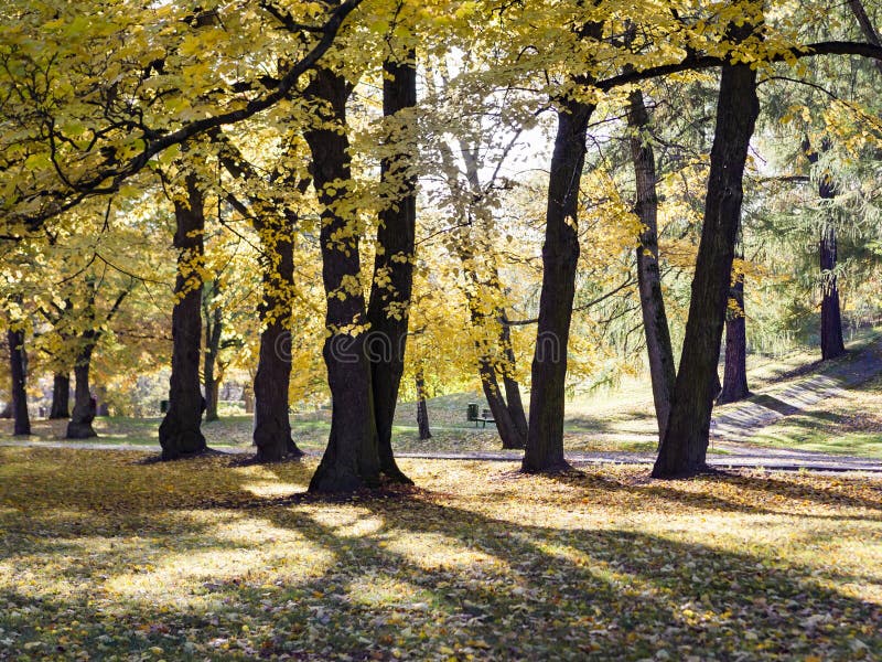 Autumn in Helsinki stock image. Image of sunlight, shadow - 67117831