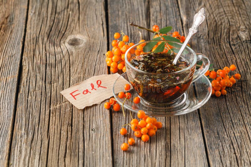 Autumn Herbal Tea with Rowan Berry on Table Stock Photo - Image of ...