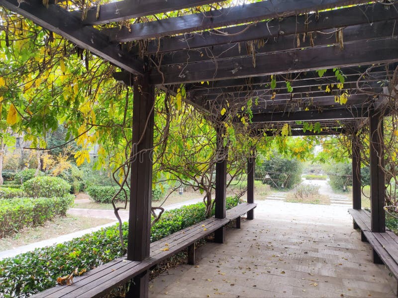 Autumn is Here.Take Photos of a Corner Downstairs.001 Stock Image ...
