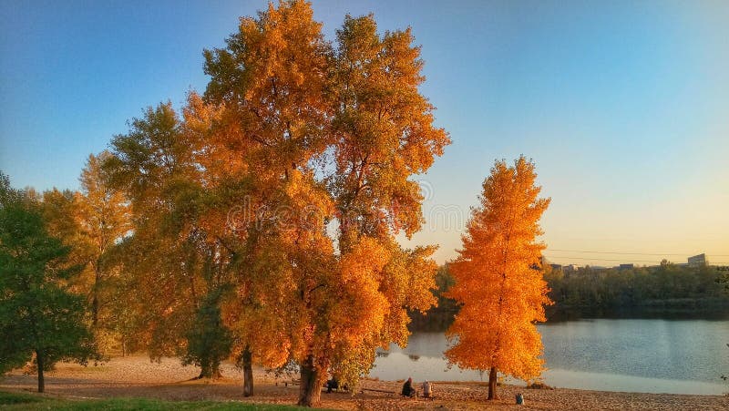 Autumn is here stock photo. Image of netherlands, autumn - 11505722