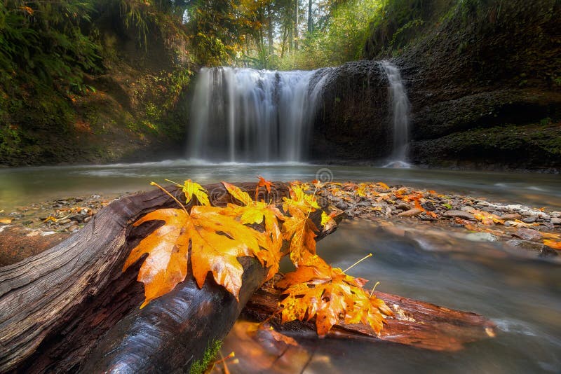 Hidden Falls in Autumn in Oregon State USA Stock Photo - Image of fall ...