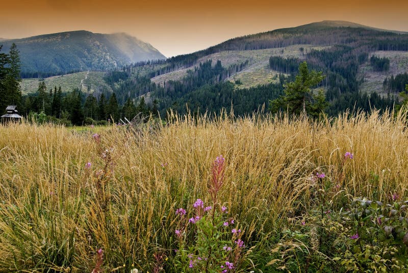 Autumn in Hight Tatry stock image. Image of hike, hill - 15863787