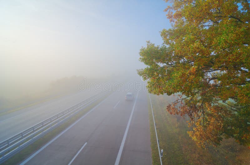 Autumn, Highway, Fog, Foliage Stock Image - Image of autumn, sunshine ...