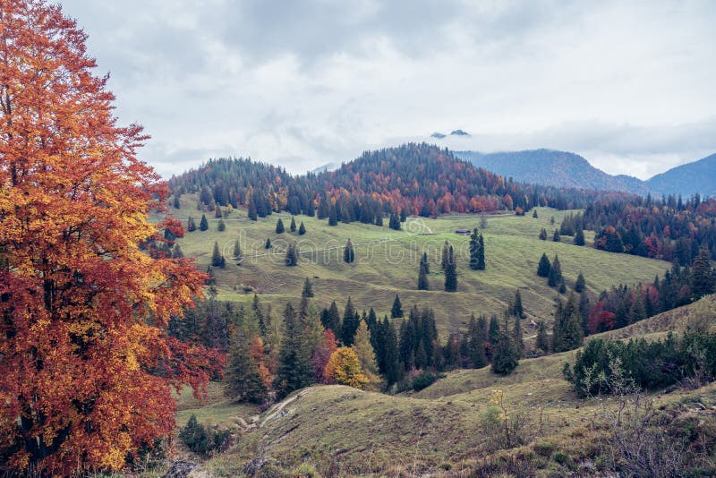 Autumn Hiking in Bavarian Alps Stock Photo - Image of foliage, fall ...