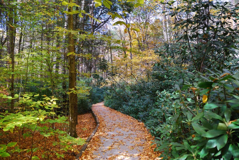 Autumn hiking trail stock photo. Image of landscape, tourism - 17500214