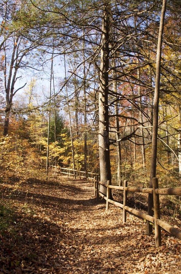 Autumn Hiking Trail in the Park Stock Photo - Image of fall, hiking ...