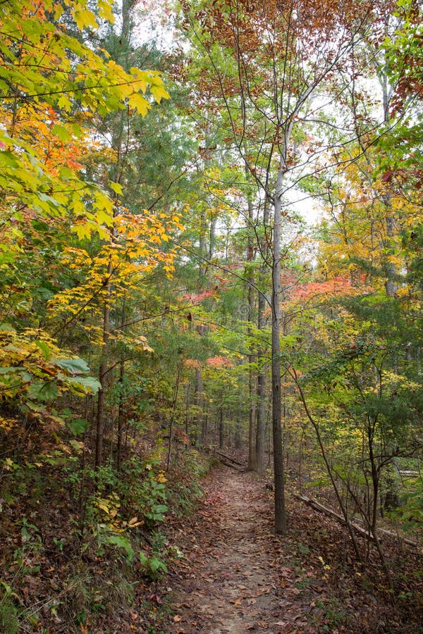Autumn Hiking Trail stock photo. Image of outdoors, trail - 61783230