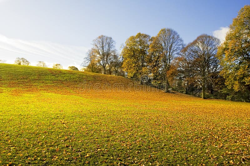 Autumn Hill stock photo. Image of november, plant, nature - 3627918