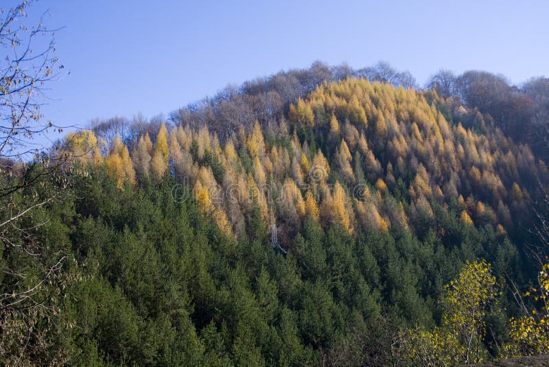 Autumn hill stock photo. Image of colors, autumn, season - 35308066