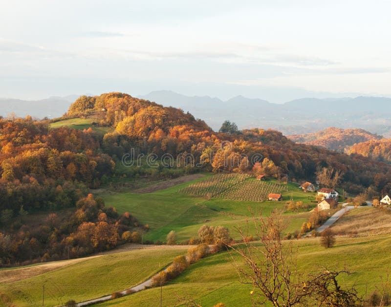Autumn hills stock photo. Image of vineyard, nature, tree - 7069226