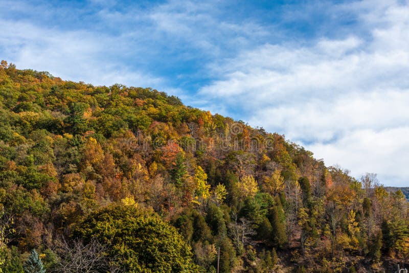 Autumn Hillside stock image. Image of sunny, yellow, colorful - 37276963