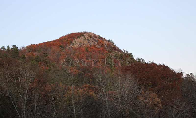 Autumn hilltop stock photo. Image of trees, hilltop, fall - 47262382