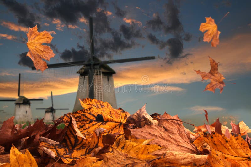 Autumn in Holland stock photo. Image of building, autumn - 11830768