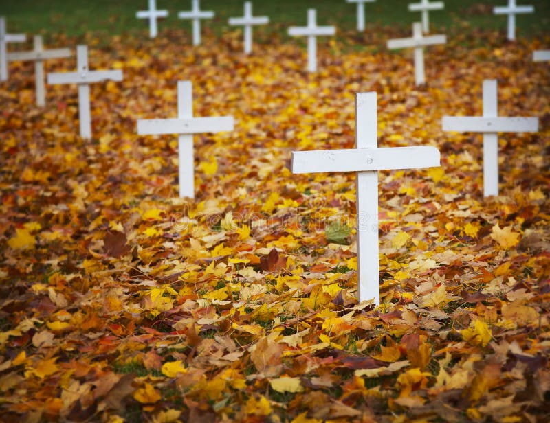 Autumn hope stock image. Image of religion, death, autumn - 28867983