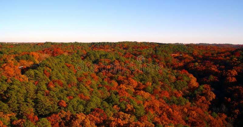 Autumn Horizon stock photo. Image of horizon, color, autumn - 337730