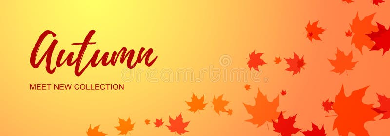 Autumn Horizontal Banner with Maple Leaves. Place for Text Stock Vector ...