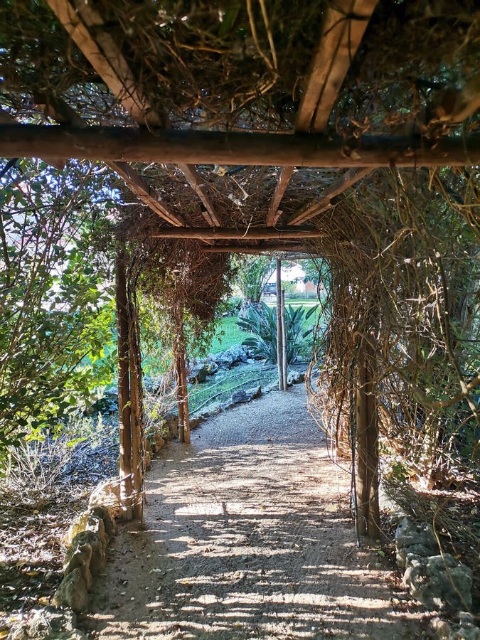 154 Diy Bridge Stock Photos - Free & Royalty-Free Stock Photos from ...