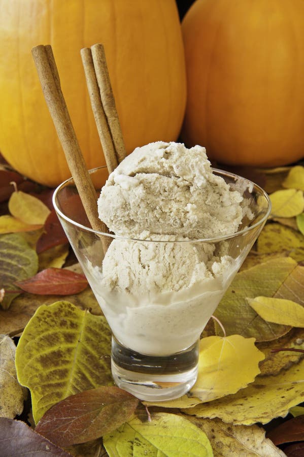 Autumn Ice Cream stock photo. Image of bowl, squash, colorful - 21631768
