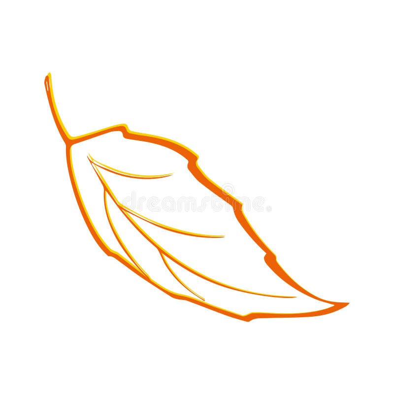 Autumn Icon . Fall Leaf. Nature Symbol Vector Collection Isolated on ...