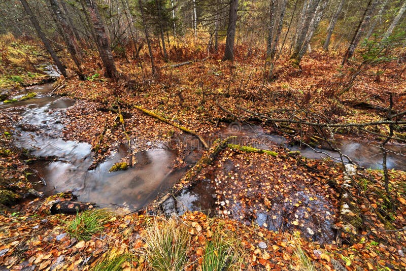 Autumn, HDRI stock image. Image of november, autumn, blue - 30904221