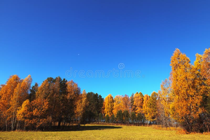 Autumn, HDRI stock image. Image of november, autumn, blue - 30904221