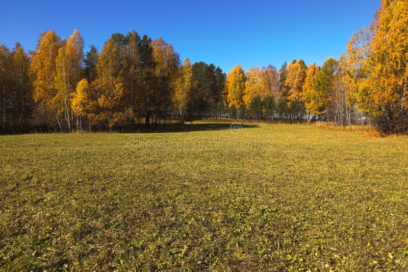 Autumn, HDRI stock image. Image of november, autumn, blue - 30904221