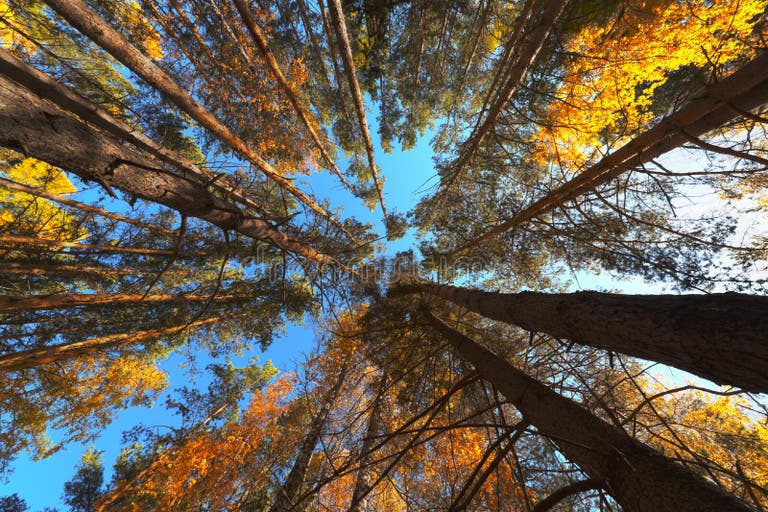 1,525 Color Hdri Stock Photos - Free & Royalty-Free Stock Photos from ...