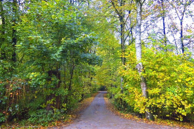 Autumn Impression from the Saxony Forest, Near Hamburg. Germany Stock ...