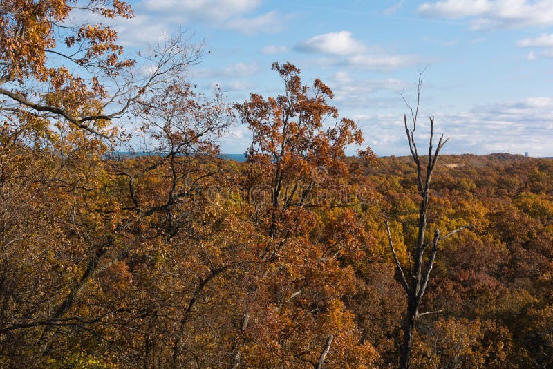 Autumn in Indiana stock image. Image of indiana, autumn - 46096209