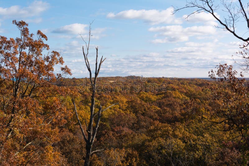 Autumn in Indiana stock image. Image of indiana, autumn - 46096209