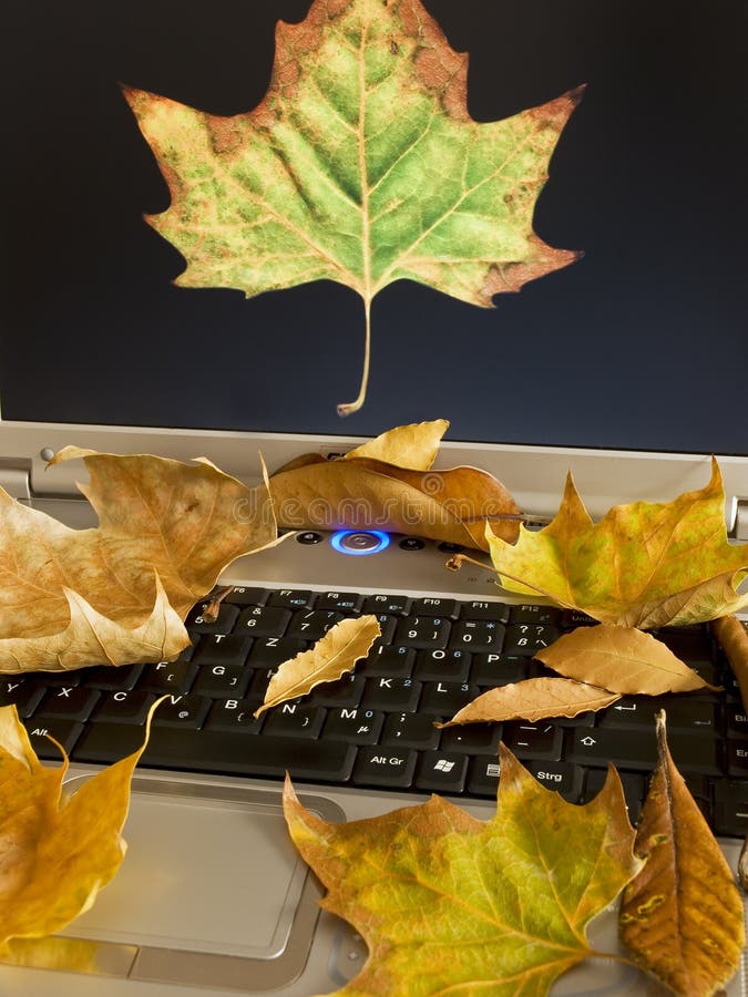 Internet collocation stock image. Image of digital, byte - 4442647