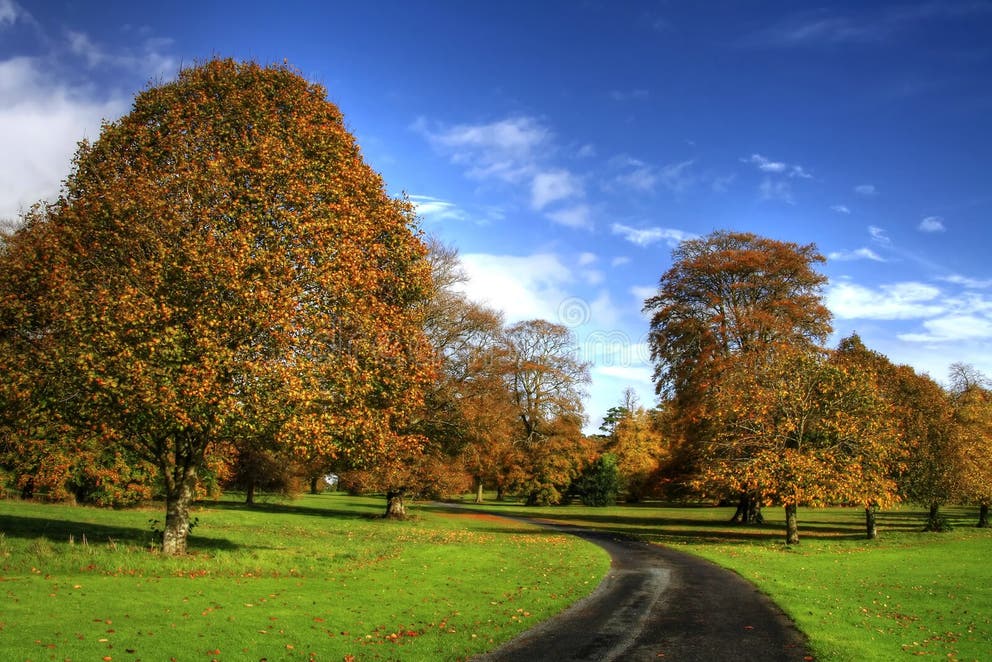 Autumn in Ireland stock photo. Image of clouds, farmland - 13972428