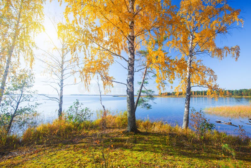 Autumn island and lake stock photo. Image of morning - 54572980