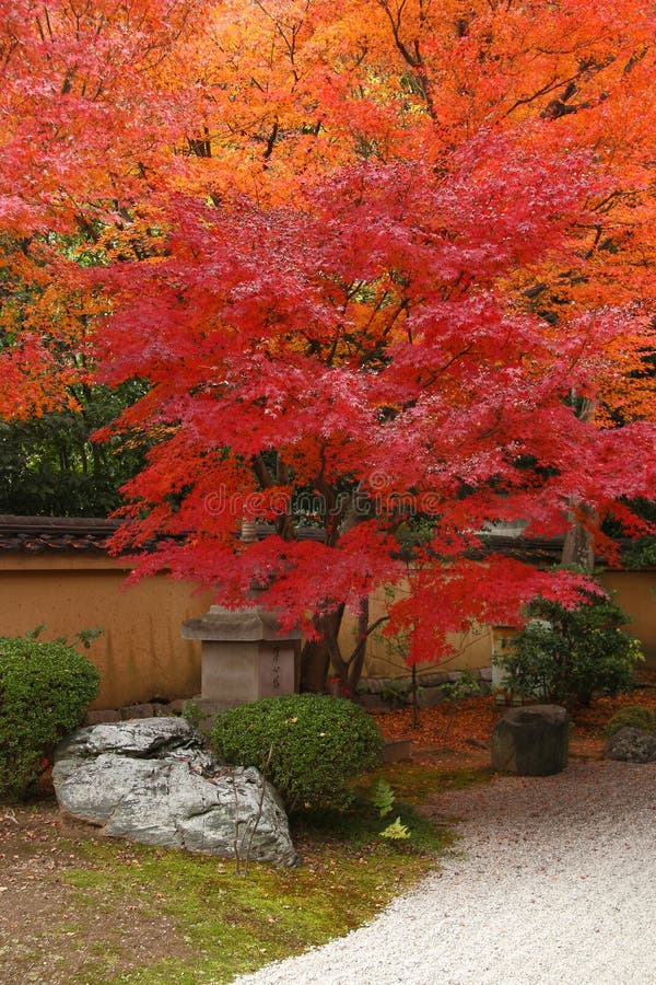 Autumn in Japan stock image. Image of temple, maple, japanese - 54128707
